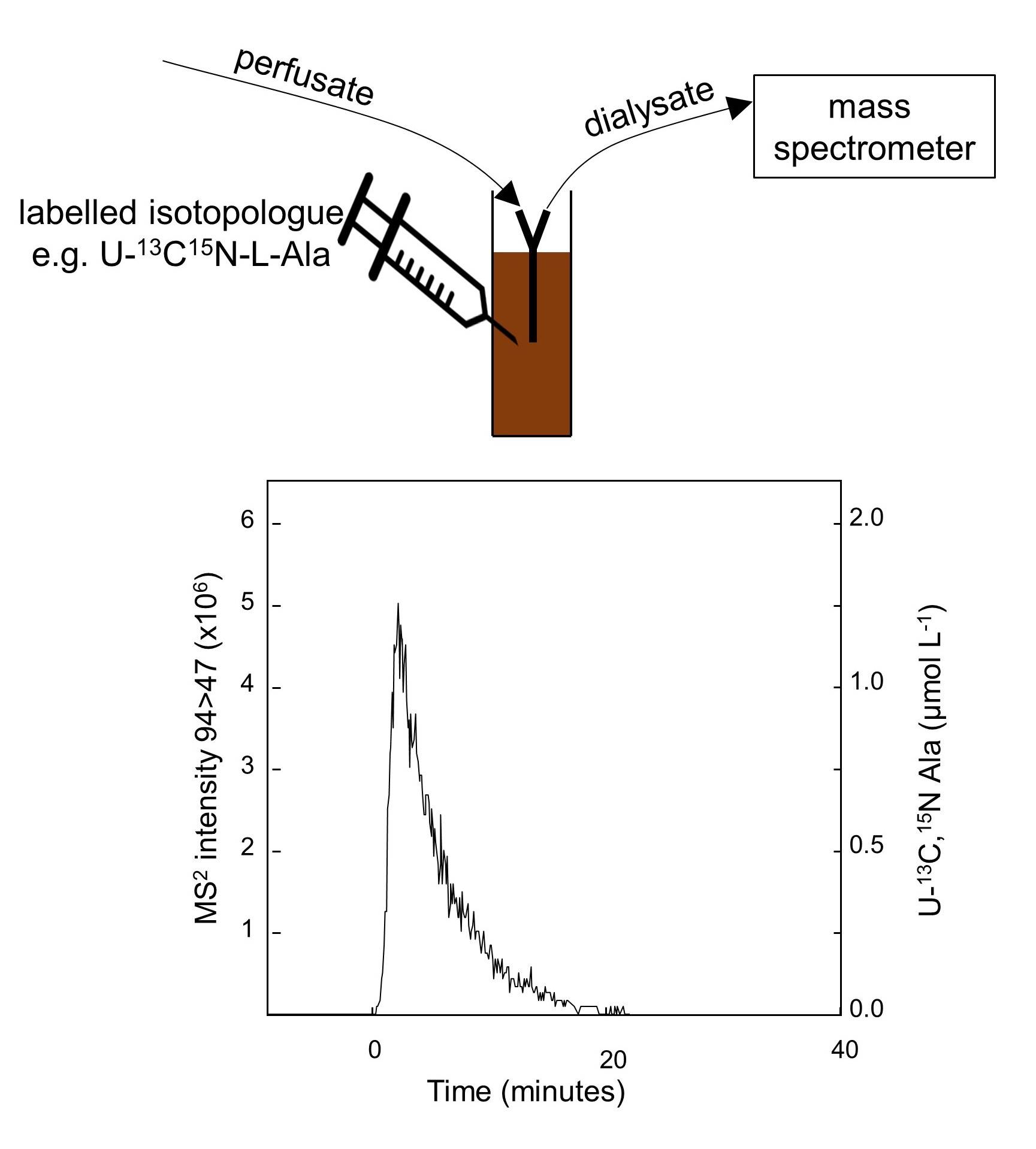 Research - Plant-soil interactions lab